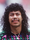 René Higuita - Informações e Estatísticas do Jogador