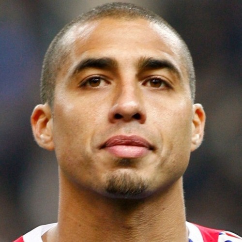 David Trezeguet - Informações e Estatísticas do Jogador