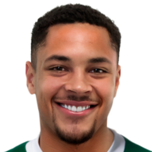 Vitor Roque - Palmeiras - Ficha e Estatísticas do Jogador